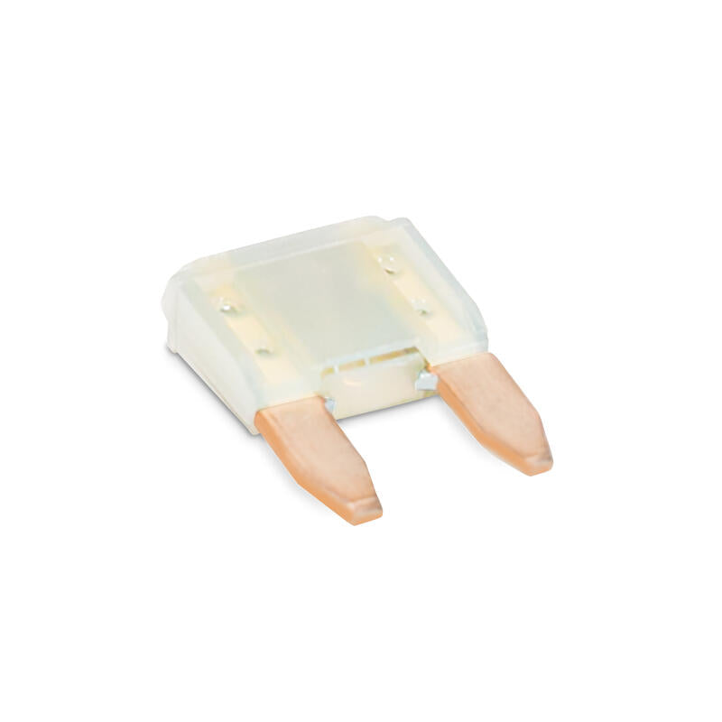 2 AMP FUSE MINI PACK OF
